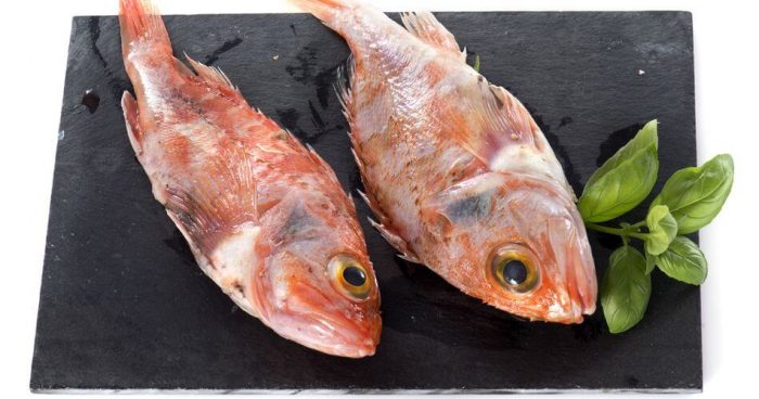 Karmazyn – wartości odżywcze, wędzenie, cena ryby | PPZ